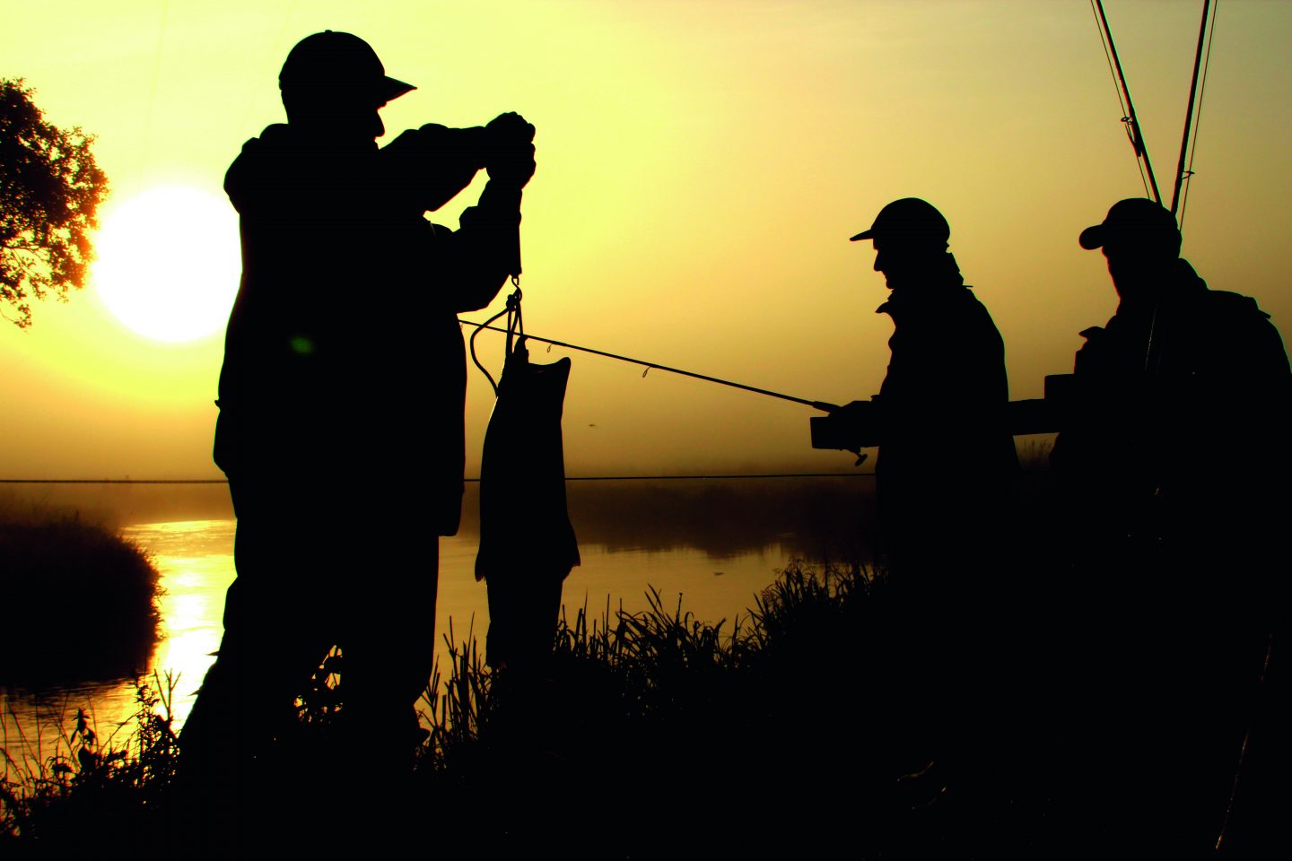Angeln in Dänemark: Fischen unter Freunden - RUTE & ROLLE – Dein ...