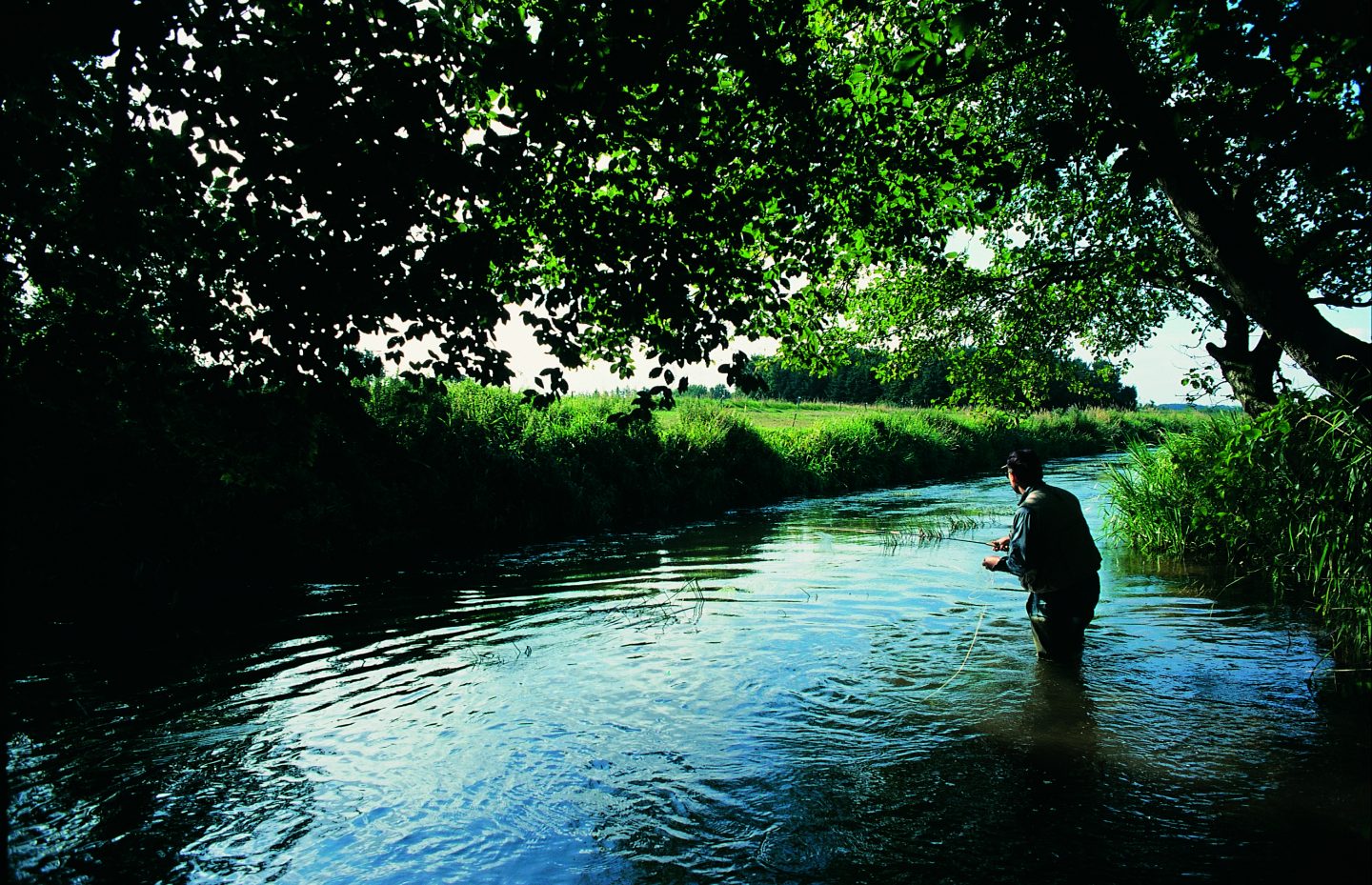 Angeln in Dänemark: Fischen unter Freunden - RUTE & ROLLE – Dein ...