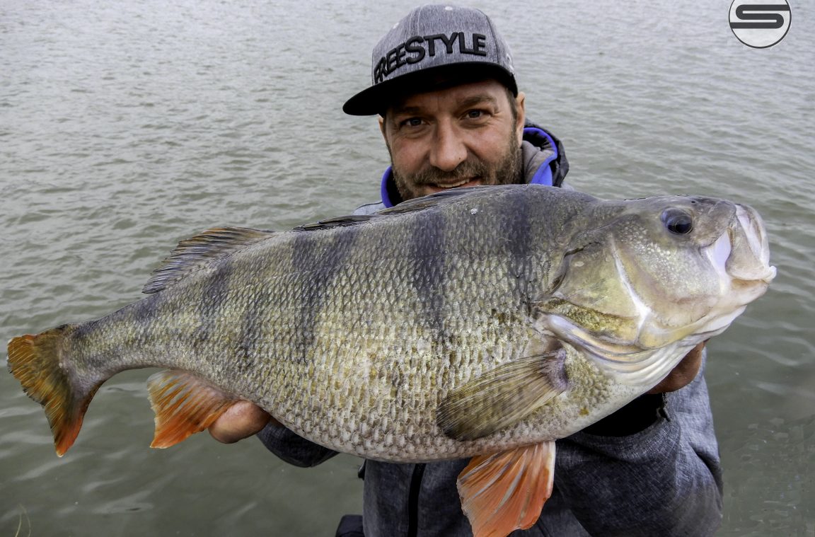 Stephan Schober und die 50-Zentimeter-Barsche - RUTE & ROLLE – Dein ...