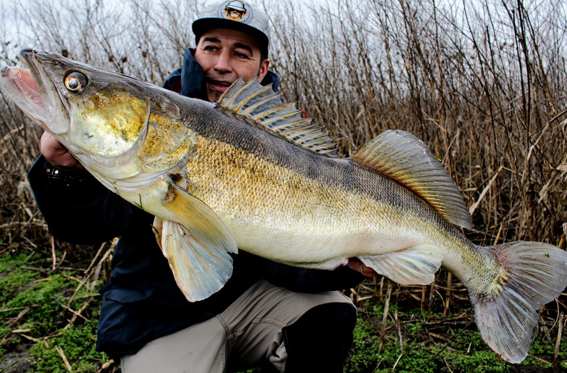 Christopher Nagel mit Fang des Monats Januar - RUTE&ROLLE