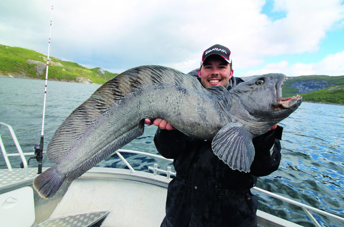 FISCHE&FJORDE: Weck den Seewolf - RUTE & ROLLE – Dein Angelmagazin