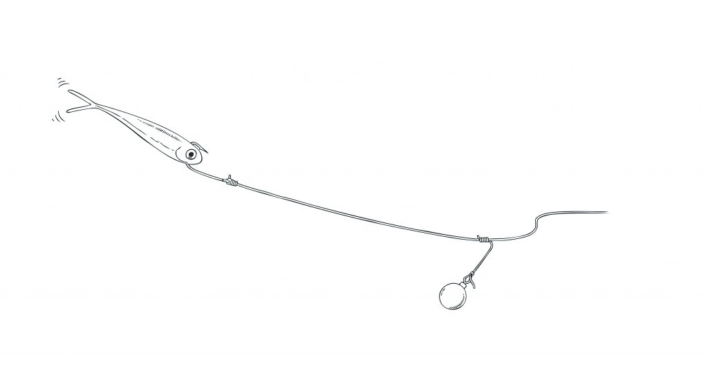 Barsch-Special, Teil 3: Finesse und Ultralight - RUTE&ROLLE