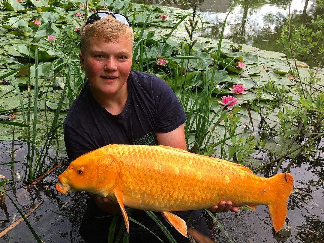 Michael Bücken ist Gewinner des Fang des Monats August - RUTE & ROLLE ...
