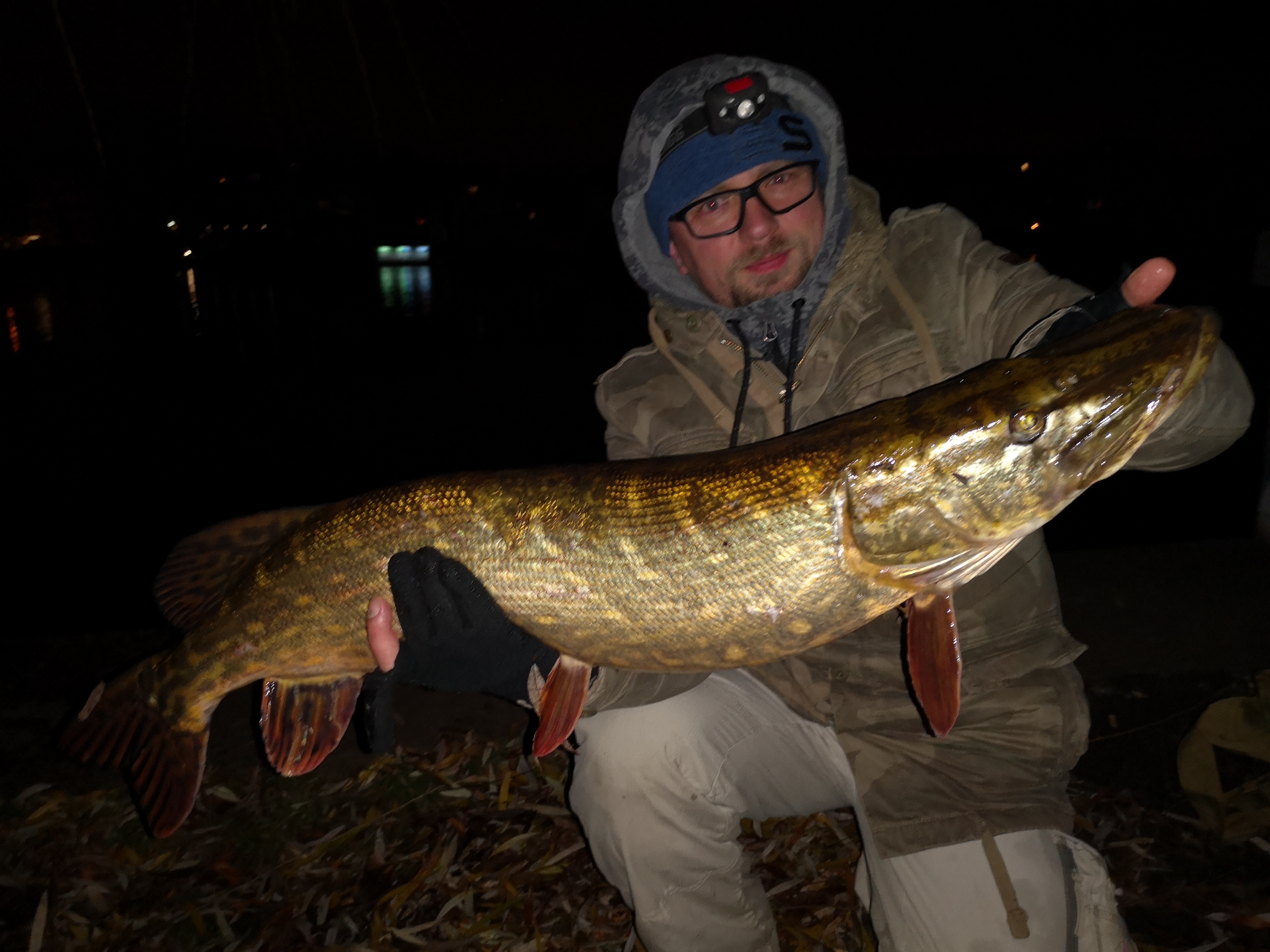 Herold Baartz gewinnt mit Dorsch! - RUTE & ROLLE – Dein Angelmagazin