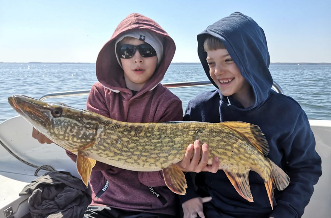 Der Fang des Monats startet (endlich)! - RUTE&ROLLE