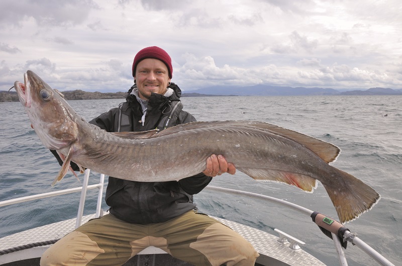 Leng: Die langen aus der Tiefsee - Zielfisch - RUTE&ROLLE