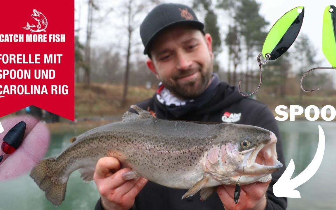 Neues zum FORELLE angeln im WINTER mit SPOON und Carolina Rig