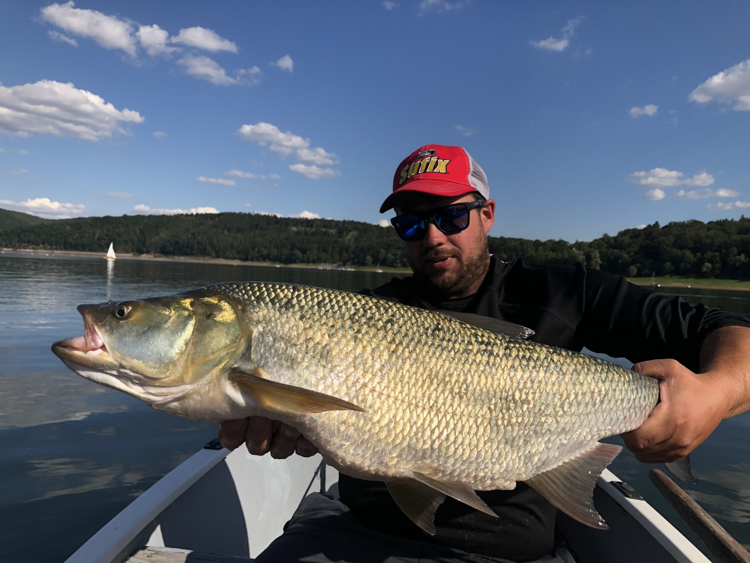 Talsperren-Rapfen - Top-Gewässer Edersee - RUTE & ROLLE