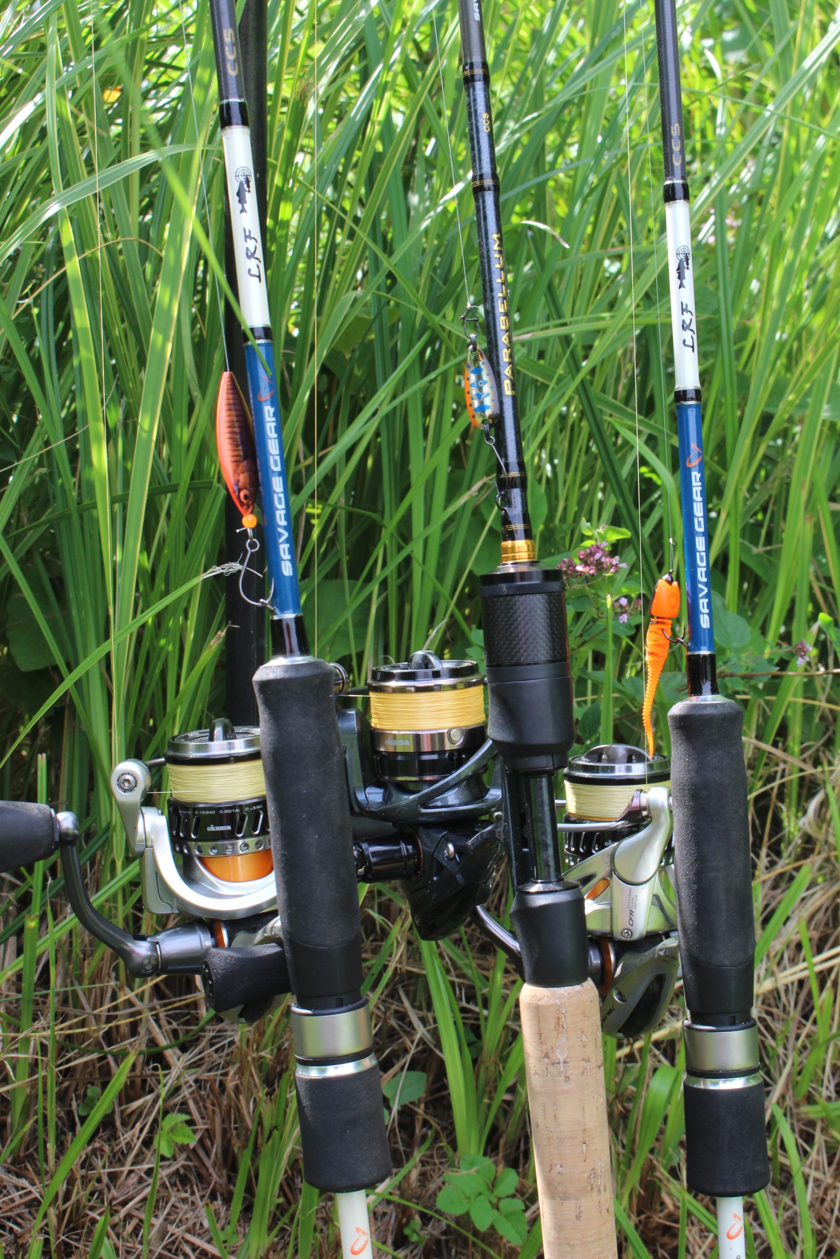 Forelle: drei gewinnt! Praxis am Wasser - RUTE & ROLLE