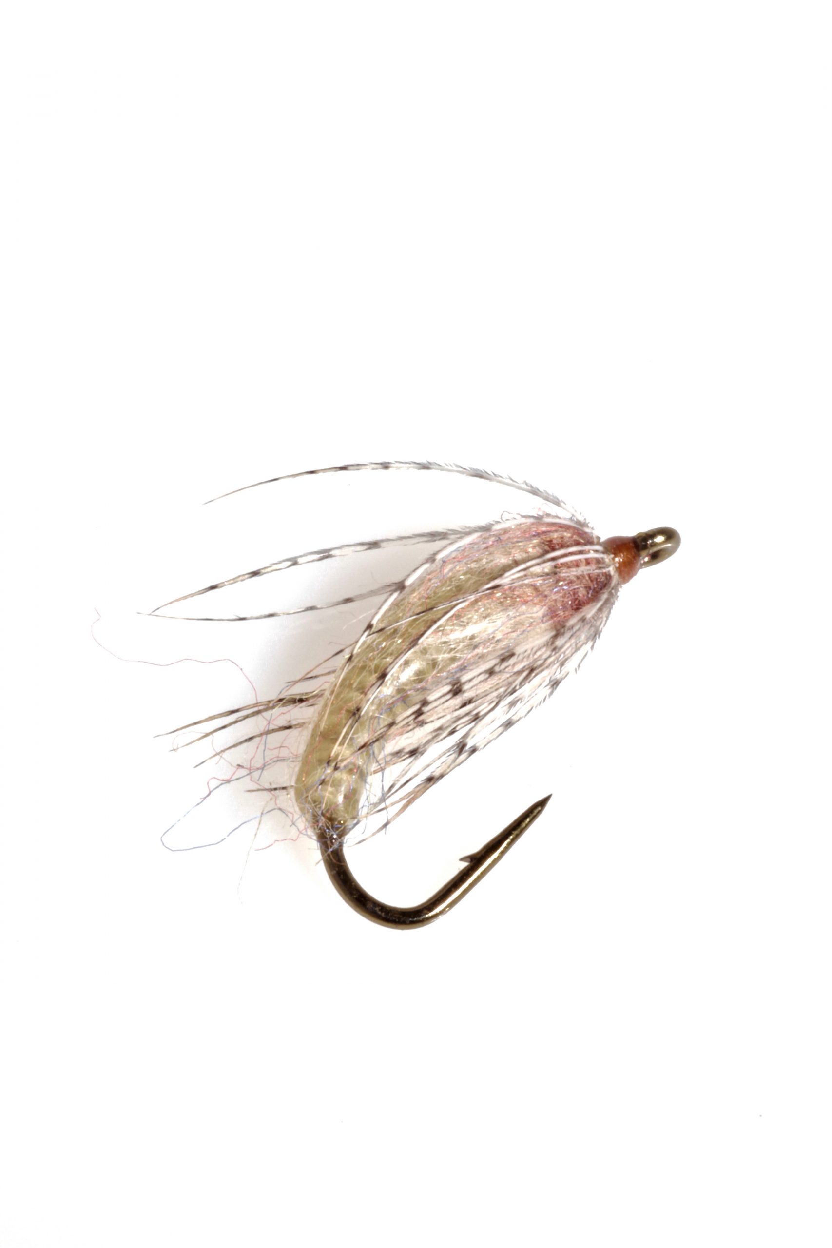 Körper für Caddis - RUTE & ROLLE - FISCH & FLIEGE