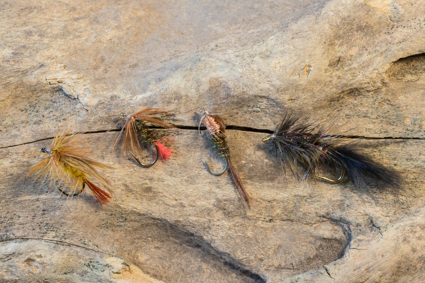 Hotspot Wiesenbach FISCH & FLIEGE RUTE & ROLLE – Dein Angelmagazin