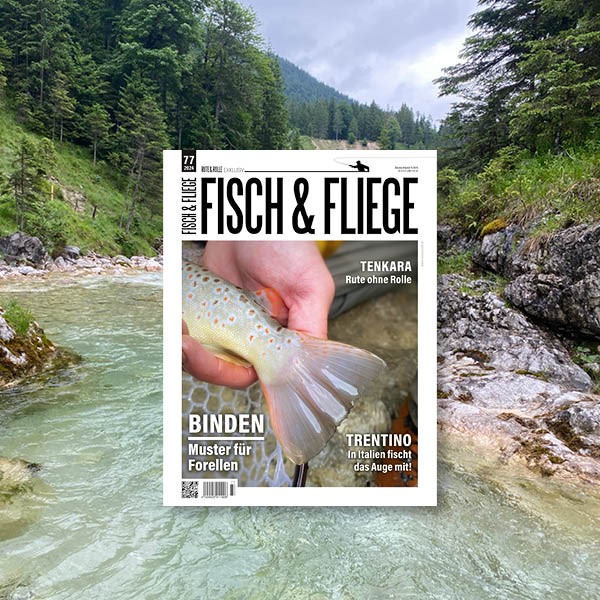 FISCH & FLIEGE 77 - RUTE & ROLLE – Dein Angelmagazin