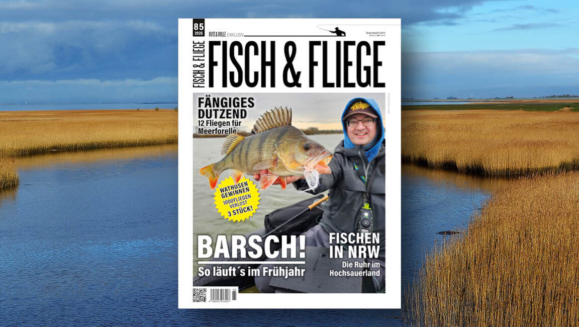 FISCH & FLIEGE 85 - RUTE & ROLLE – Dein Angelmagazin